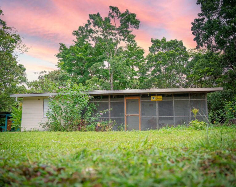 The Bunkhouse - EcoTourism Belize